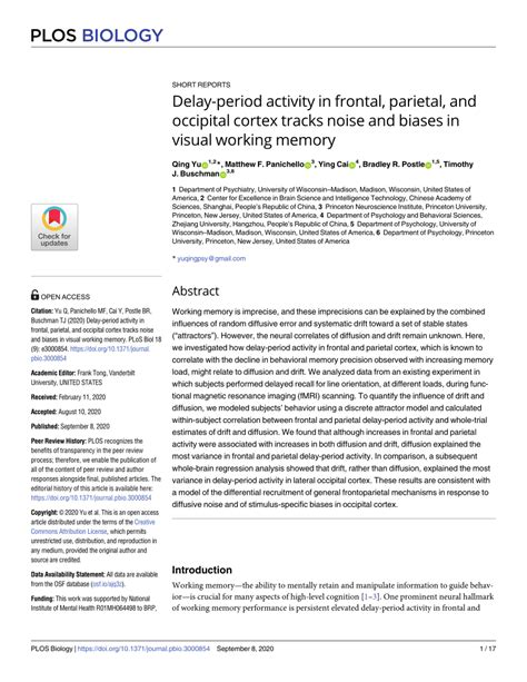 pdf delay period activity in frontal parietal and occipital cortex
