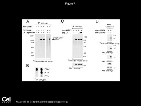 Volume 22 Issue 3 Pages March 1999 Ppt Download