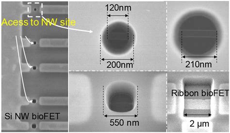 A Scanning Electron Microscopy Sem Images After Metal Etching B