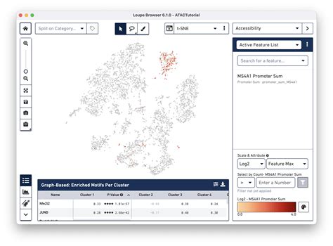 Navigating The Loupe Browser Interface For Atac Data Official X