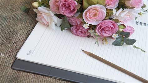 Online Course Comprehensive English Tutoring Solution From Study