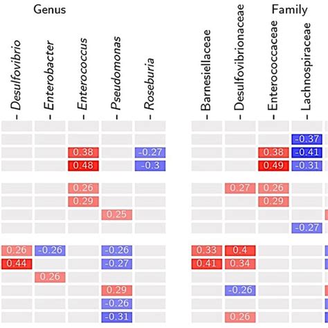 Spearman Plot Showing The Correlation Between The Gut Microbiome Download Scientific Diagram