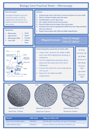 Microscopy Practical Pack Teaching Resources