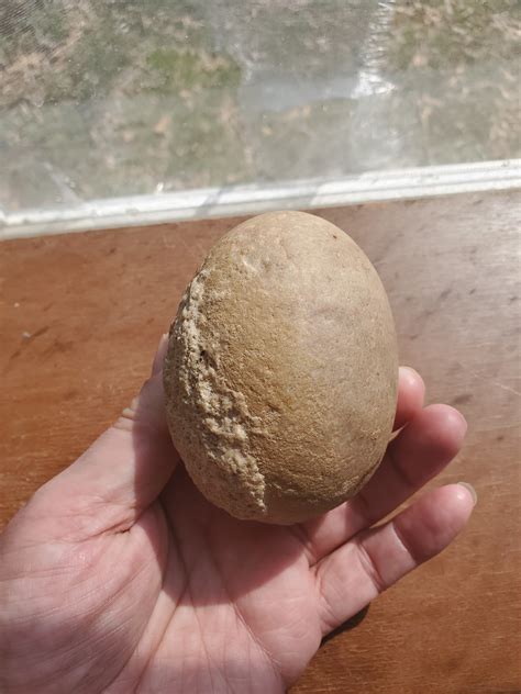 Fossilized Dinosaur Egg Fossil Id The Fossil Forum