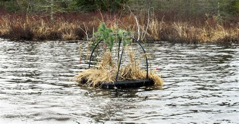 Nest Platforms Deployed As Loons Arrive At Lake Vermilion