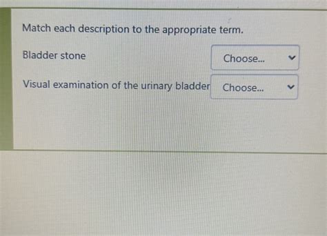 Match Each Description To The Appropriate Studyx