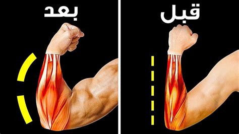 أفضل التمارين للحصول على جسد مثالي Youtube