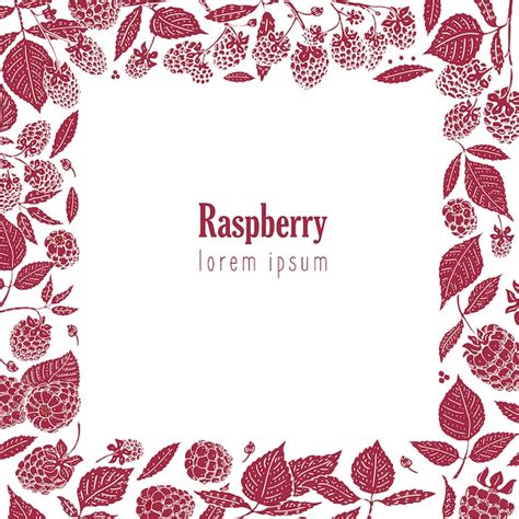 Page 3 Exquisite Raspberry Vectors And Illustrations For Free Download