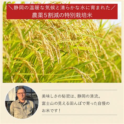 【楽天市場】【農薬5割減】特別栽培米 ミルキープリンセス 産地直送 令和6年産 静岡県産 3kg 5kg 10kg お好みに合わせて精米