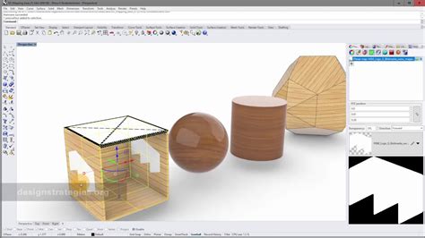 Rhino Texture Mapping Vicasun