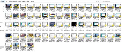 Bilibili视频合集下载，python实现python下载b站视频 Csdn博客