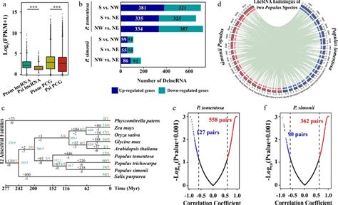 Lncrnas Have Positive Regulatory Roles For Photosynthetic Genes And