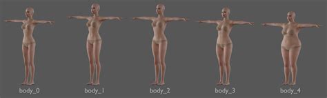 Avatar And Body Types Avaturn Developer Docs