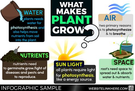 Design Unique And Eye Catching Infographic By Amazinggraphic3 Fiverr