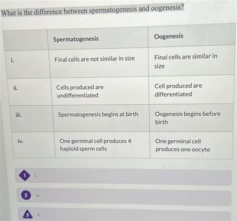 Solved What Is The Difference Between Spermatogenesis And Oogenesis 1