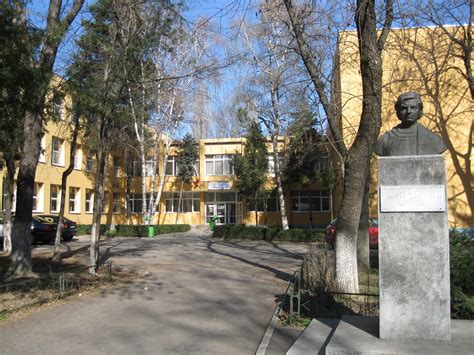 GALERIE FOTO Liceul Teoretic Nichita Stanescu