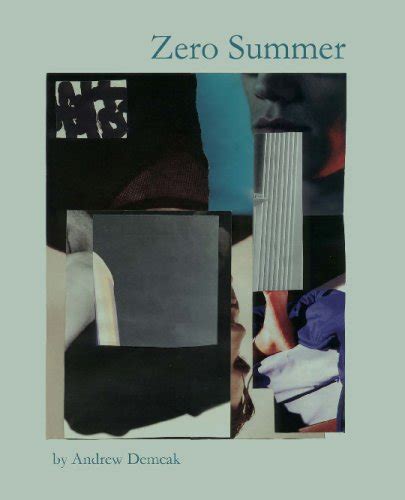 Buy Zero Summer Book Online At Low Prices In India Zero Summer