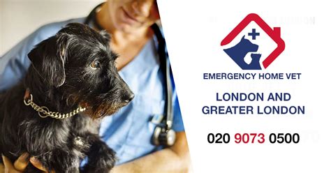 Emergency Vet In Tameside Emergency Home Vet