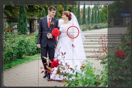 Photoshop Crop Tool For Image Cropping And Resizing