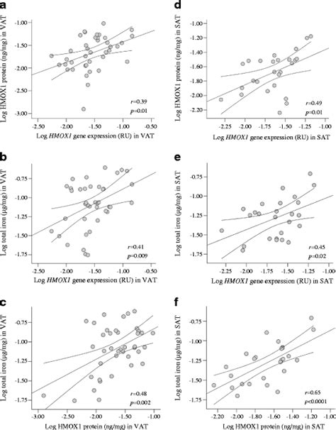 Bivariate Correlations Among Hmox1 Gene Expression Hmox1 Protein And