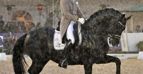 Chio Rotterdam In Memoriam Totilas