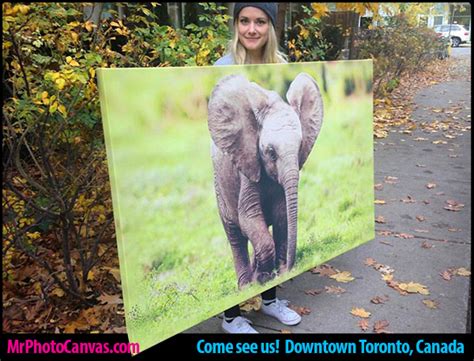 Above A Massive Selection Of Past Canvas Prints All Photographed