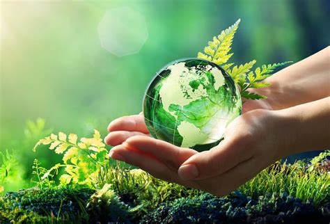 Leading The Charge Towards Sustainable Healthcare Lifescience