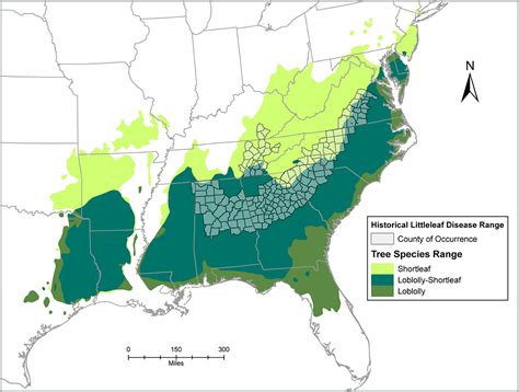 Littleleaf Disease — The Shortleaf Pine Initiative