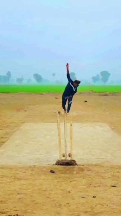 Please Subscribe Kro 🙏 Cricket Psllover Ipl Cricketlover