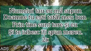 NEGATIV TON FATA Numelui tau eu mă supun Chords Chordify