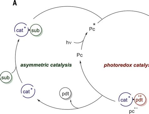 Asymmetric Counteranion Directed Photoredox Catalysis Science