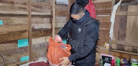 Suspeito Investigado Por Furto é Flagrado Com Drogas
