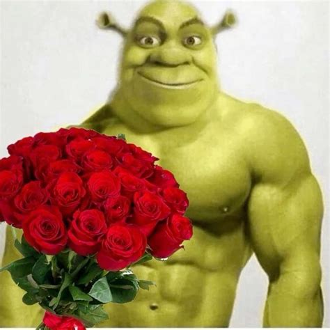 Shrek😍 In 2024 Shrek Funny Shrek Shrek Aesthetic Cute