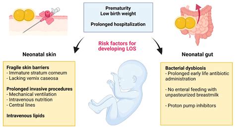 Pathogenesis Of Sepsis Youtube