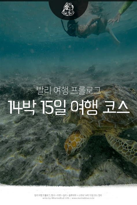 발리 여행 코스 14박15일 2주 살기 일정 항공권 가볼만한곳 맛집 등 정보 네이버 블로그