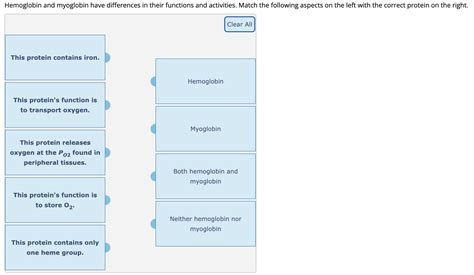 Solved Hemoglobin And Myoglobin Have Differences In Their Chegg