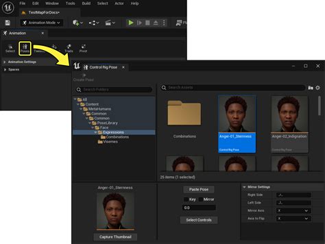 metahumans facial pose library quick start metahuman documentation