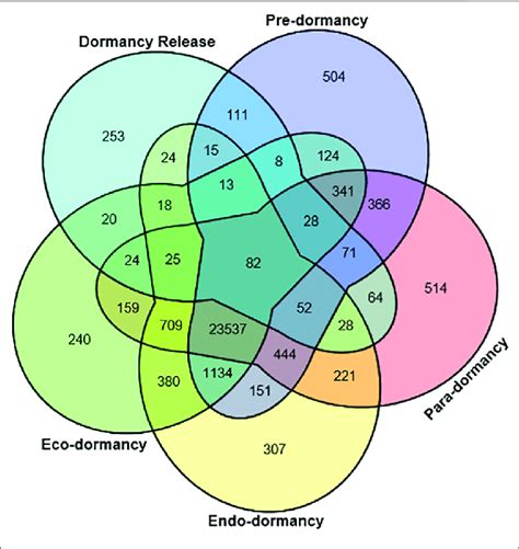 Venn Diagram Representing Common And Unique Transcripts Among