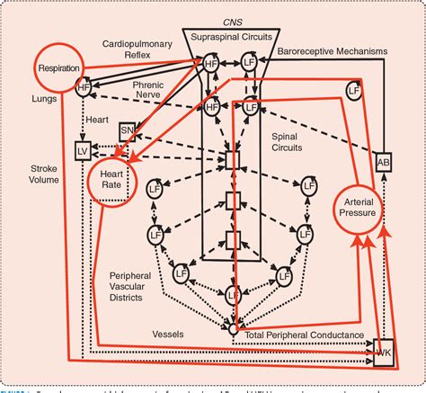 Figure From Biomedical Signal And Image Processing Semantic Scholar