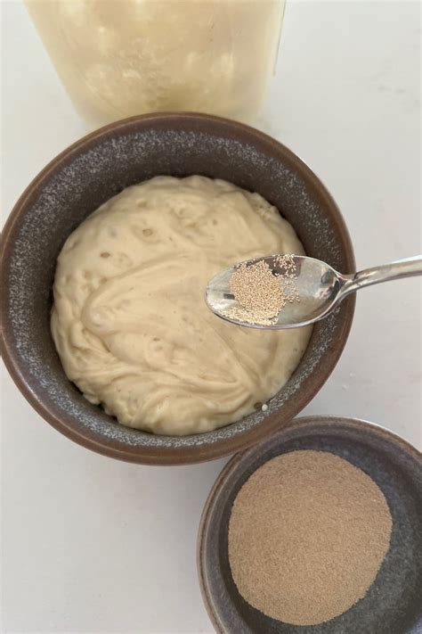 How Does Sourdough Starter Work Science Of Sourdough The Pantry Mama