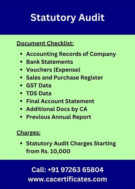 Statutory Audit For Company