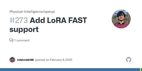 add lora fast support · issue 273 · physical intelligence openpi · github