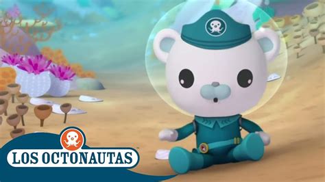 Los Octonautas Oficial en Español Capitán Barnacles se Sorprendió