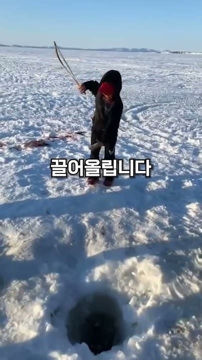 낚시줄만으로 1m 넘는 물고기를 잡은 꼬마 Youtube