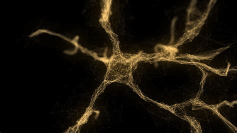 Plexus Neurons Miral 2018 On Behance