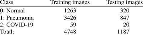 Summary Of Dataset Splitting Into Training 80 And Testing 20