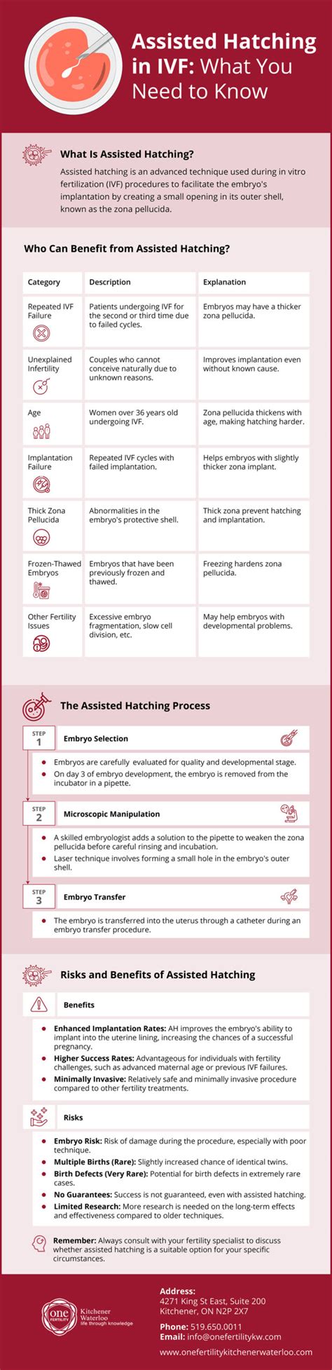 What Is Assisted Hatching Everything You Need To Know