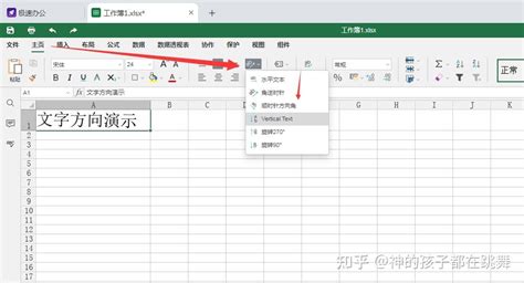 Excel表格如何改变里面的文字方向？ 知乎