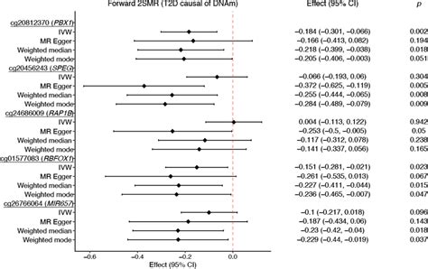 Forest Plot Showing Causal Effect Estimates From The 2smr Analysis Of