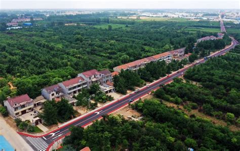 江苏沭阳美丽庭院 加出乡村发展新气象 我苏网